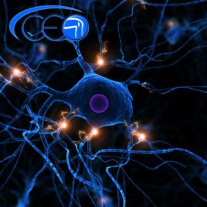 Neurólise – CEO